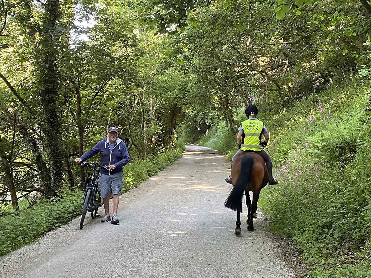 The Camel Trail Guides | Plan Your Day Trip Experience — Bridge Bike Hire