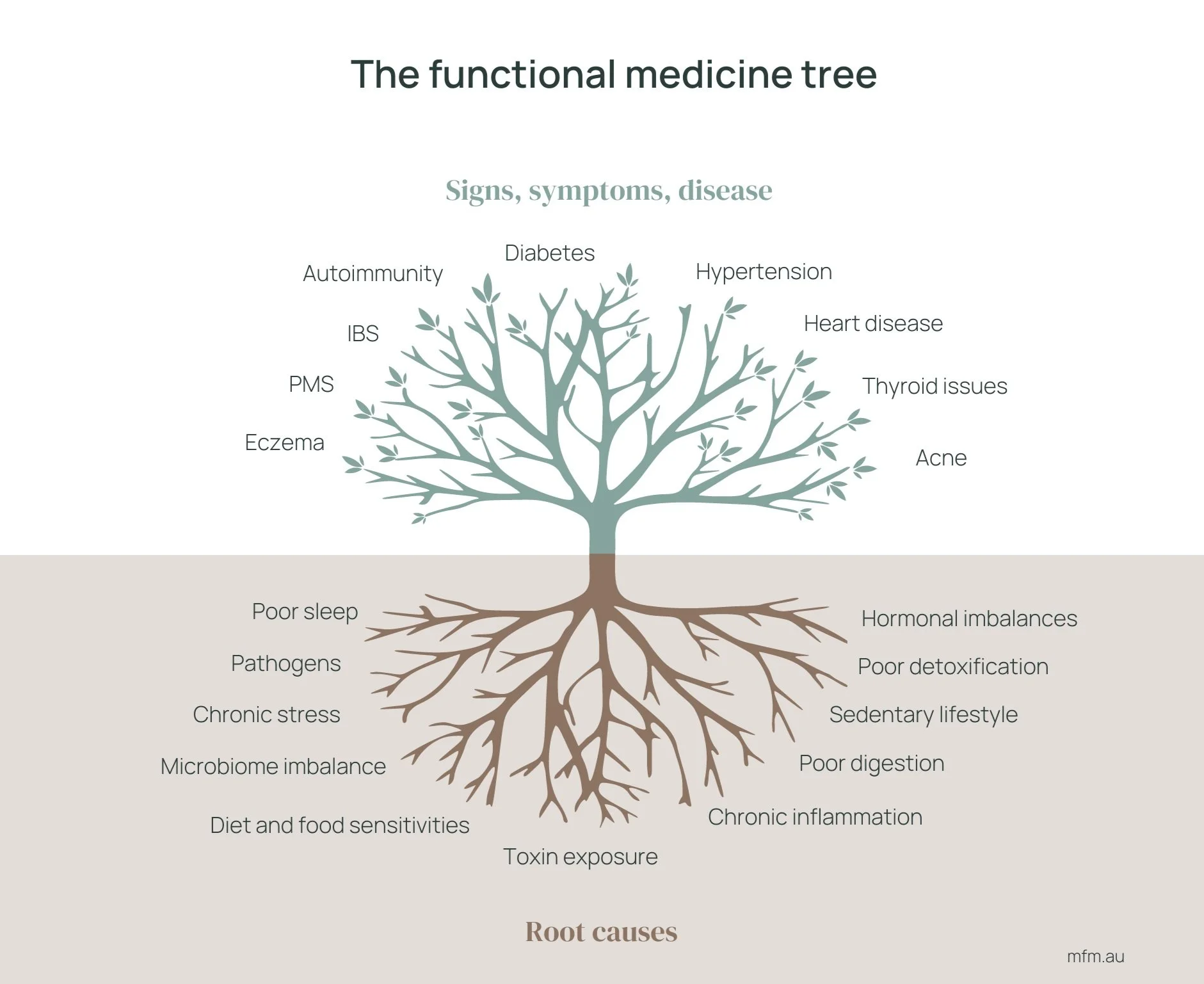 Zone Blue | Functional Medicine | Charleston, South Carolina