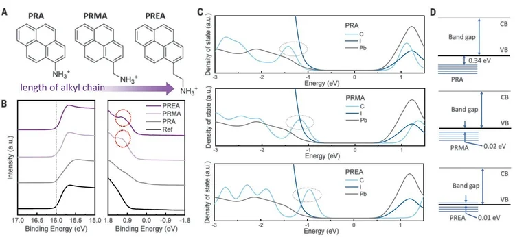 PUBLICATIONS — MENG LAB