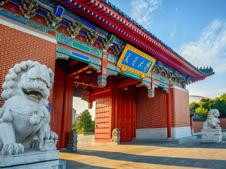 DONG MENG — MENG LAB