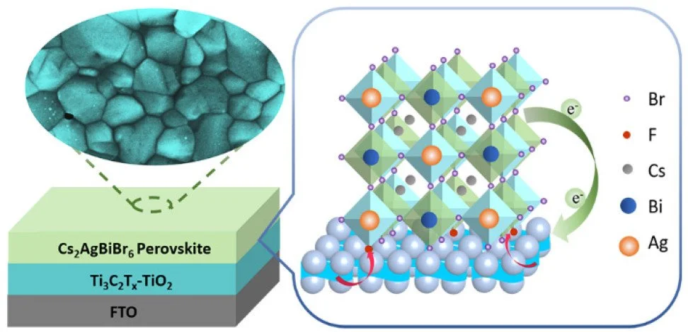 PUBLICATIONS — MENG LAB