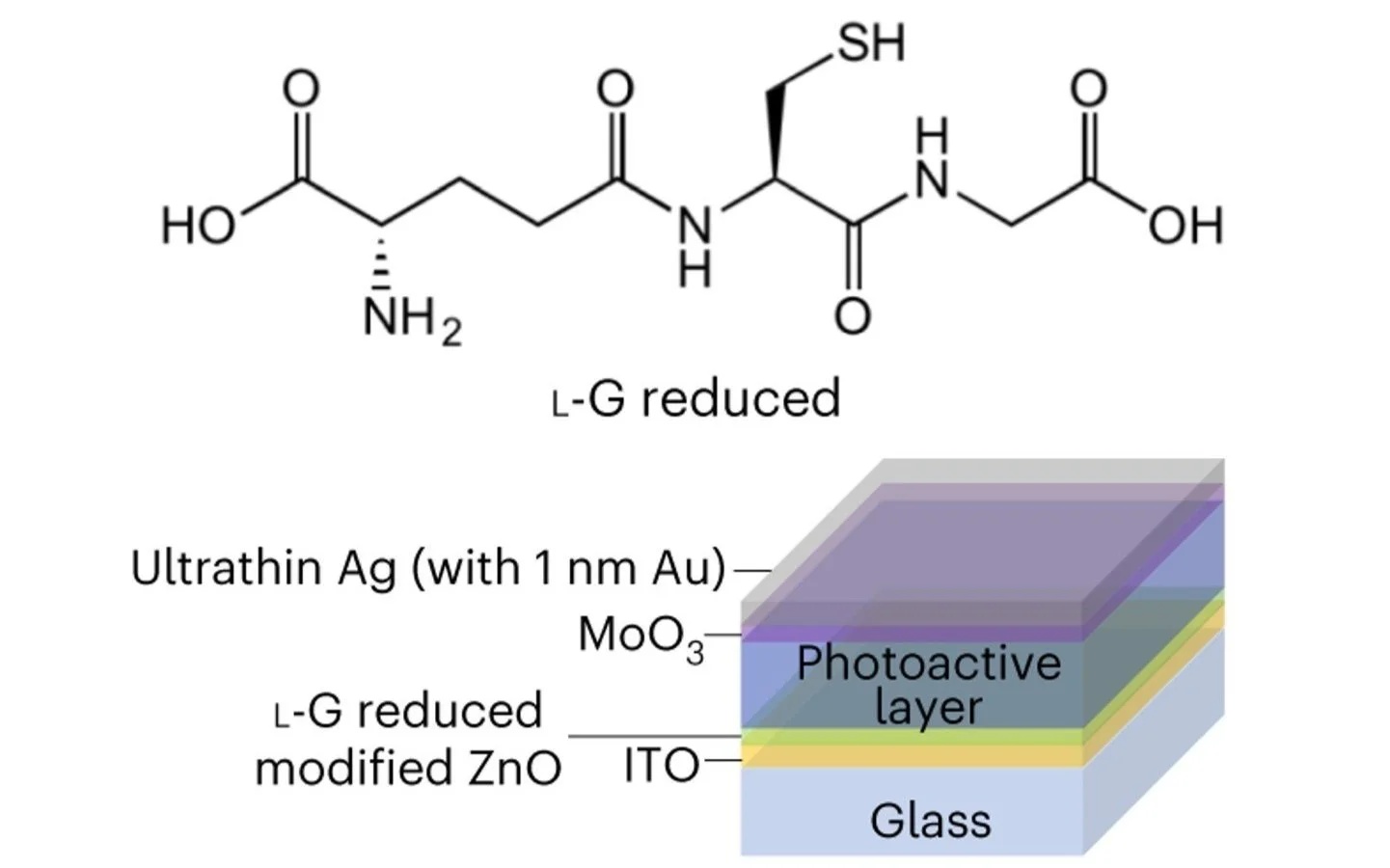 PUBLICATIONS — MENG LAB