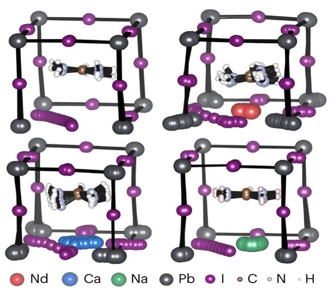 PUBLICATIONS — MENG LAB