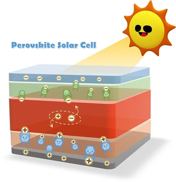 PUBLICATIONS — MENG LAB