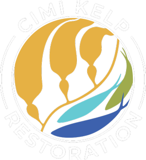 Our Maps — Cimi Kelp