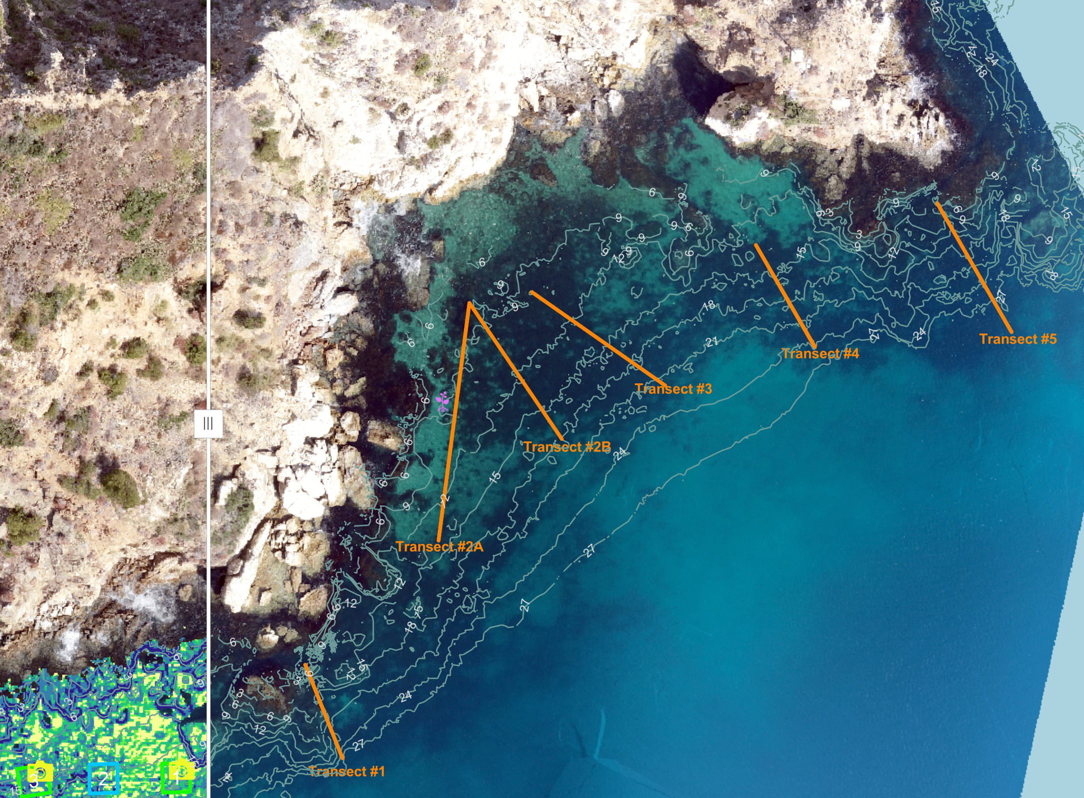 Our Maps — Cimi Kelp