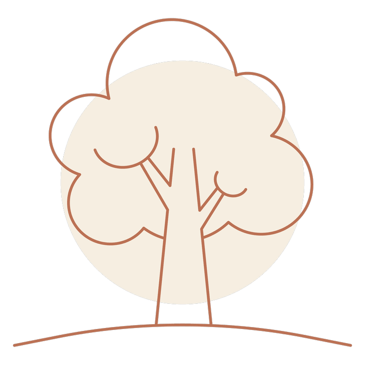 Suns Up Counseling Center—Transformative Counseling in Coastal Georgia