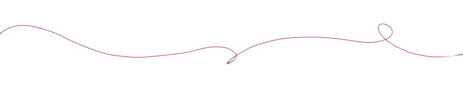 Crimson Thread Sewing