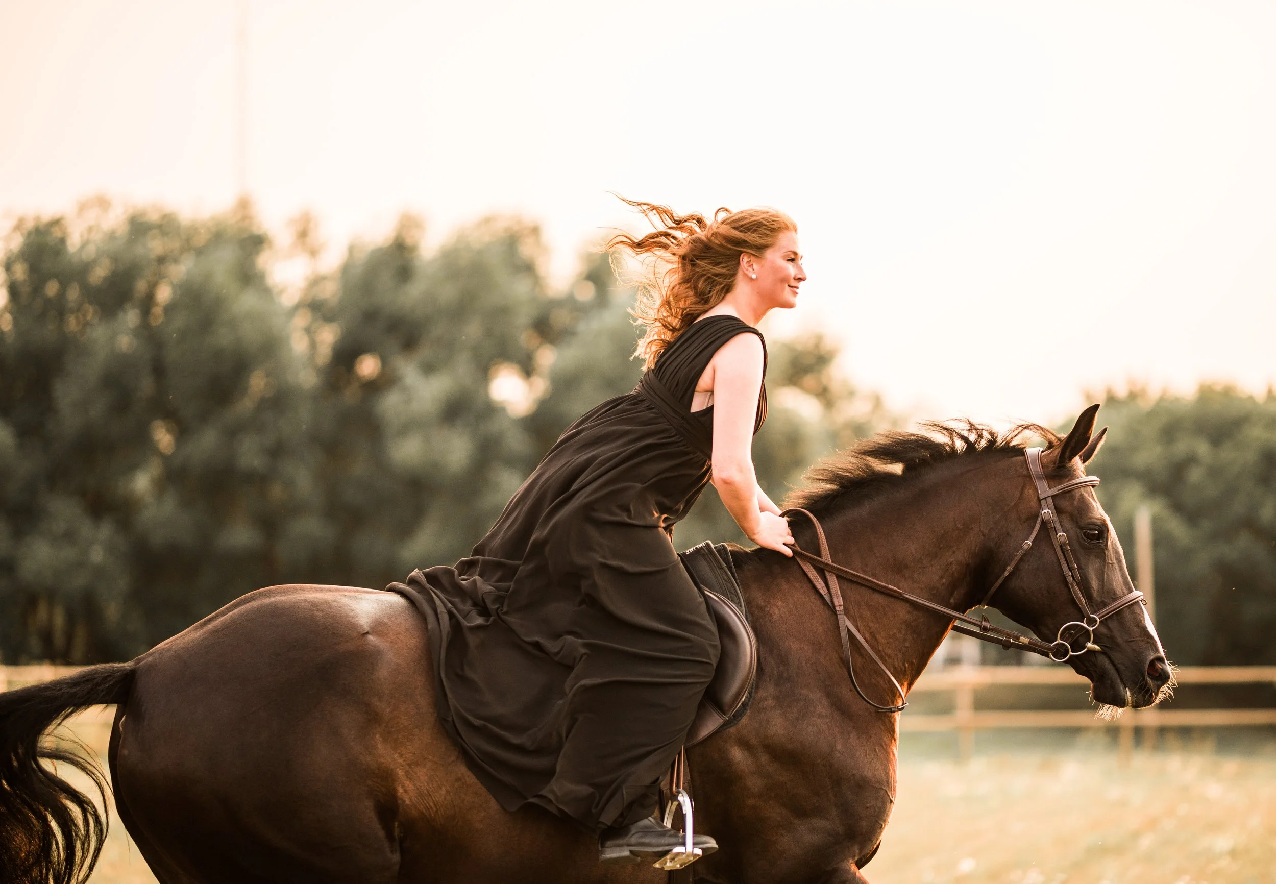 Best of 2021! - Reversed Eye Photography-Calgary Equine Photographer