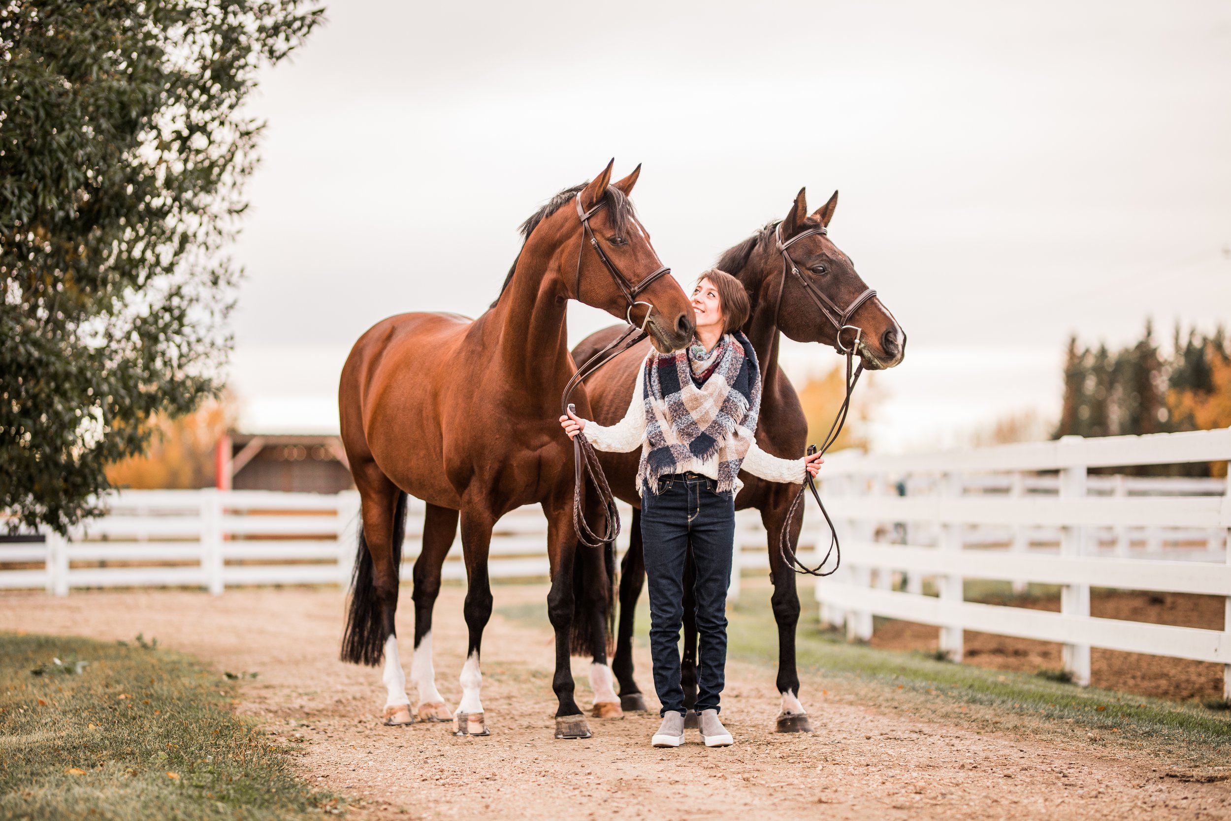 Best of 2021! - Reversed Eye Photography-Calgary Equine Photographer