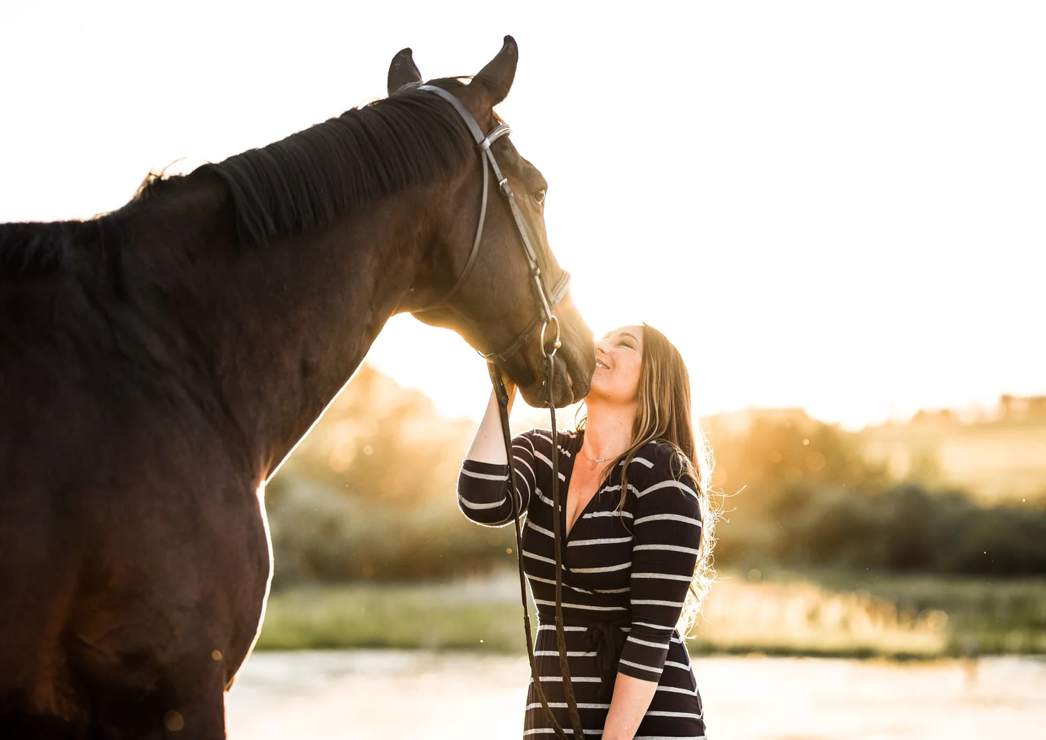 Best of 2021! - Reversed Eye Photography-Calgary Equine Photographer