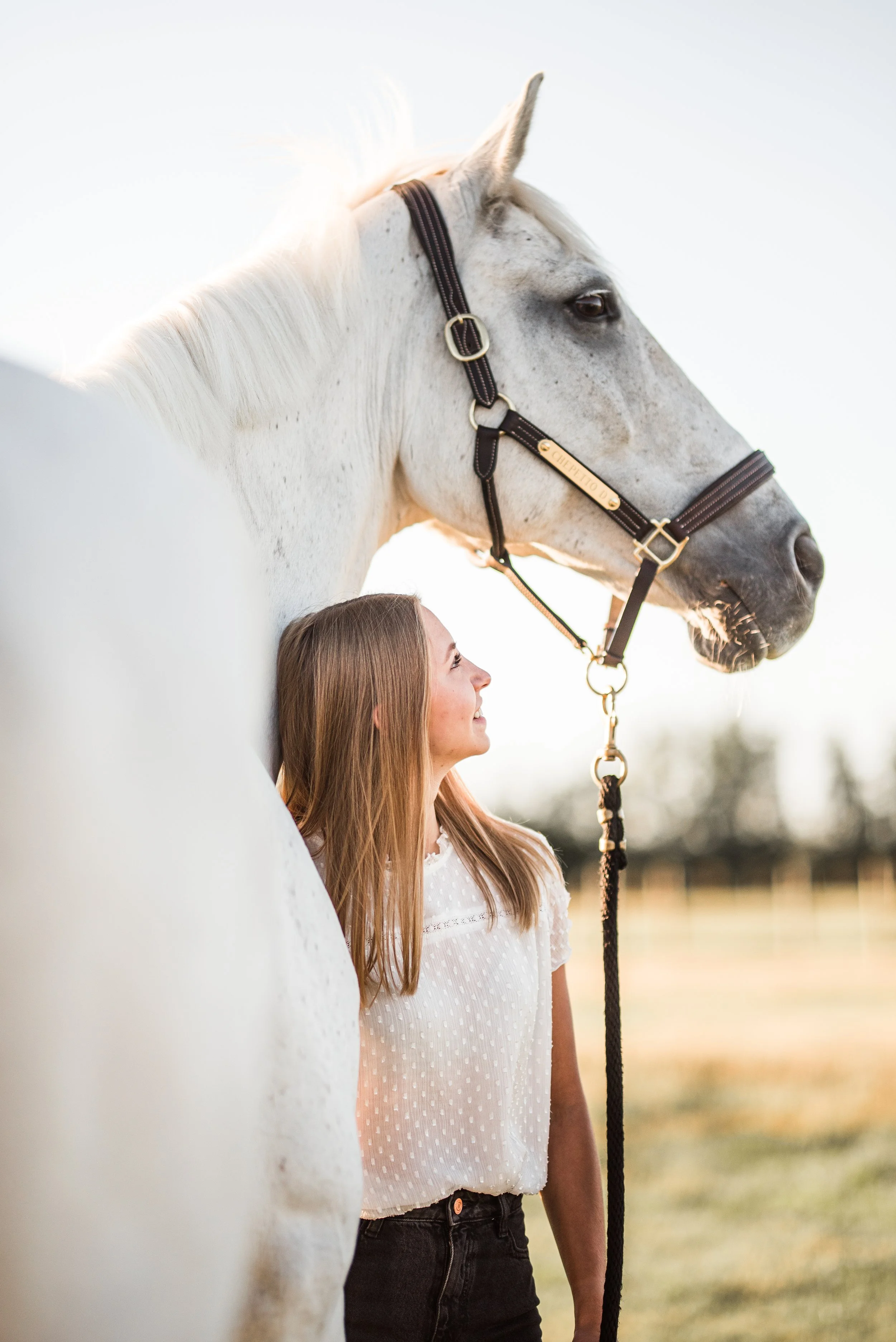 Best of 2021! - Reversed Eye Photography-Calgary Equine Photographer