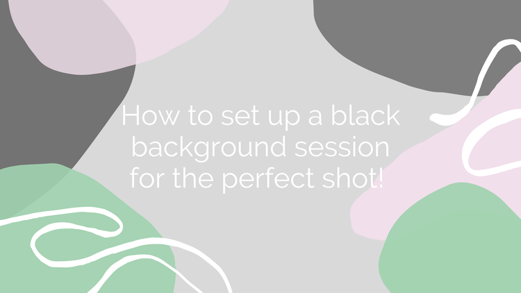 For Equine Photographers : Setting up a black background session ...