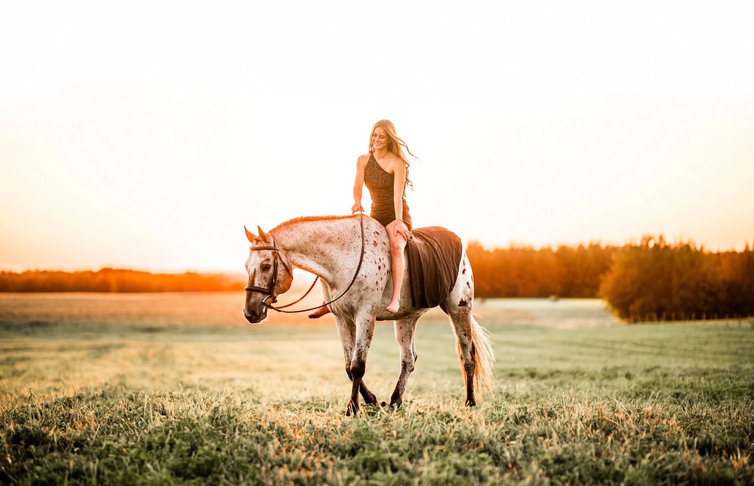 Reversed Eye Photography-Calgary Equine Photographer