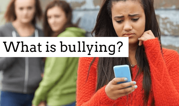 What is Bullying? The 7 Different Types (2021) — Australia's Youth ...