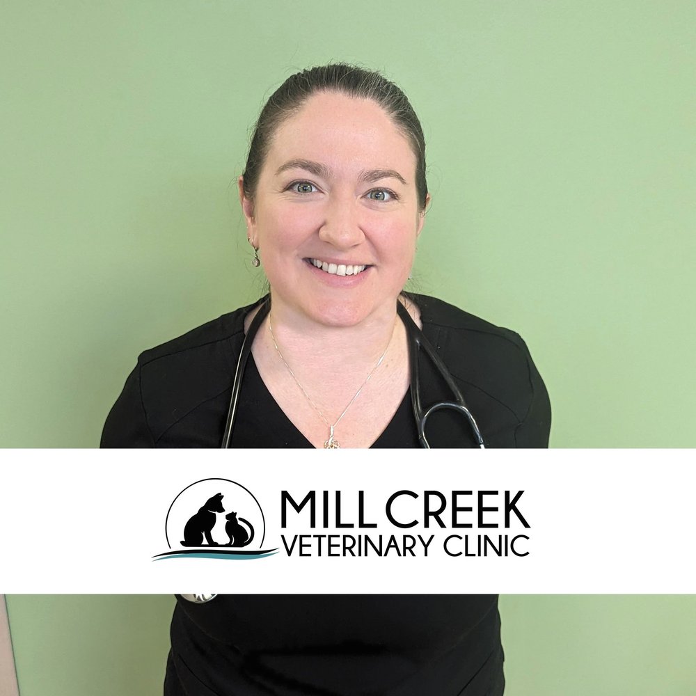 About Us — www.mcvcvet.com