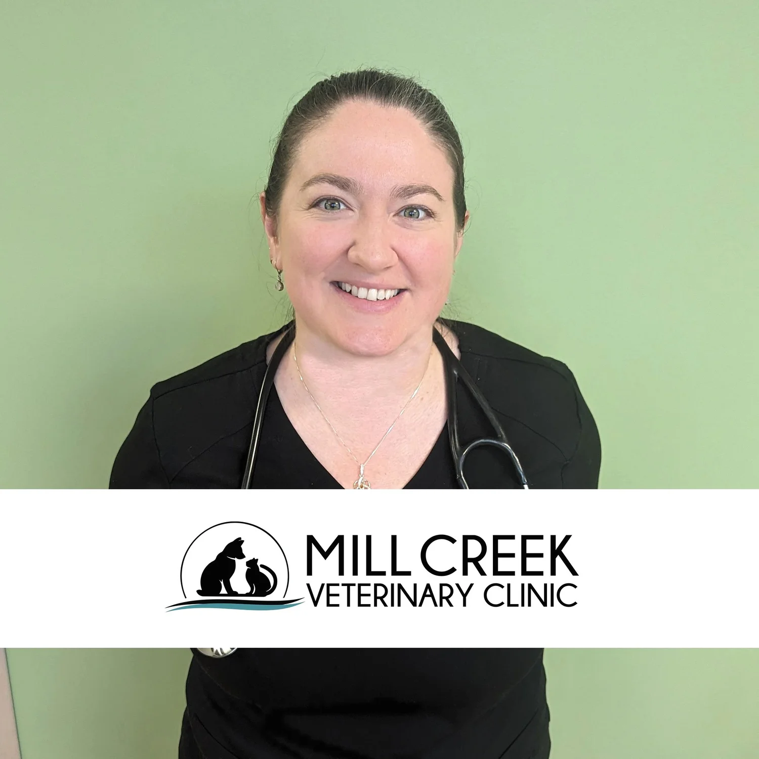 About Us — www.mcvcvet.com