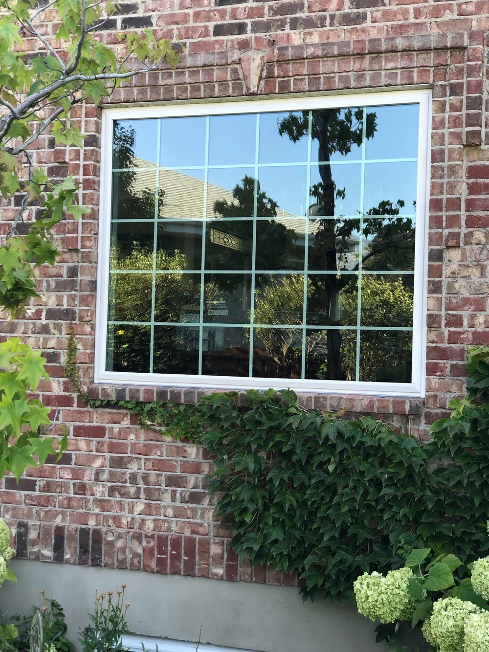 Our Work — goelevatewindows.com
