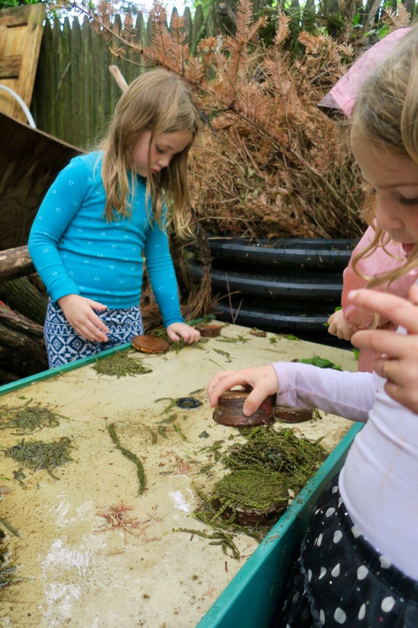 Observe The Play — Takoma Park Cooperative Nursery School