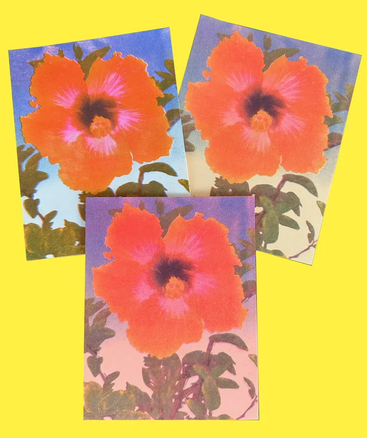 What is a Risograph? — Pencil Urchin Press