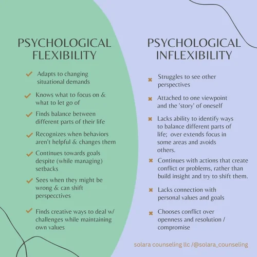 Flexible Thinking vs Rigid Thinking — Solara Counseling LLC