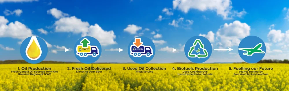 Used Oil Management | Australia | EcoFry — EcoFry