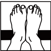 Anatomy review: the subtalar joint — The Home of Clinical Pilates ...