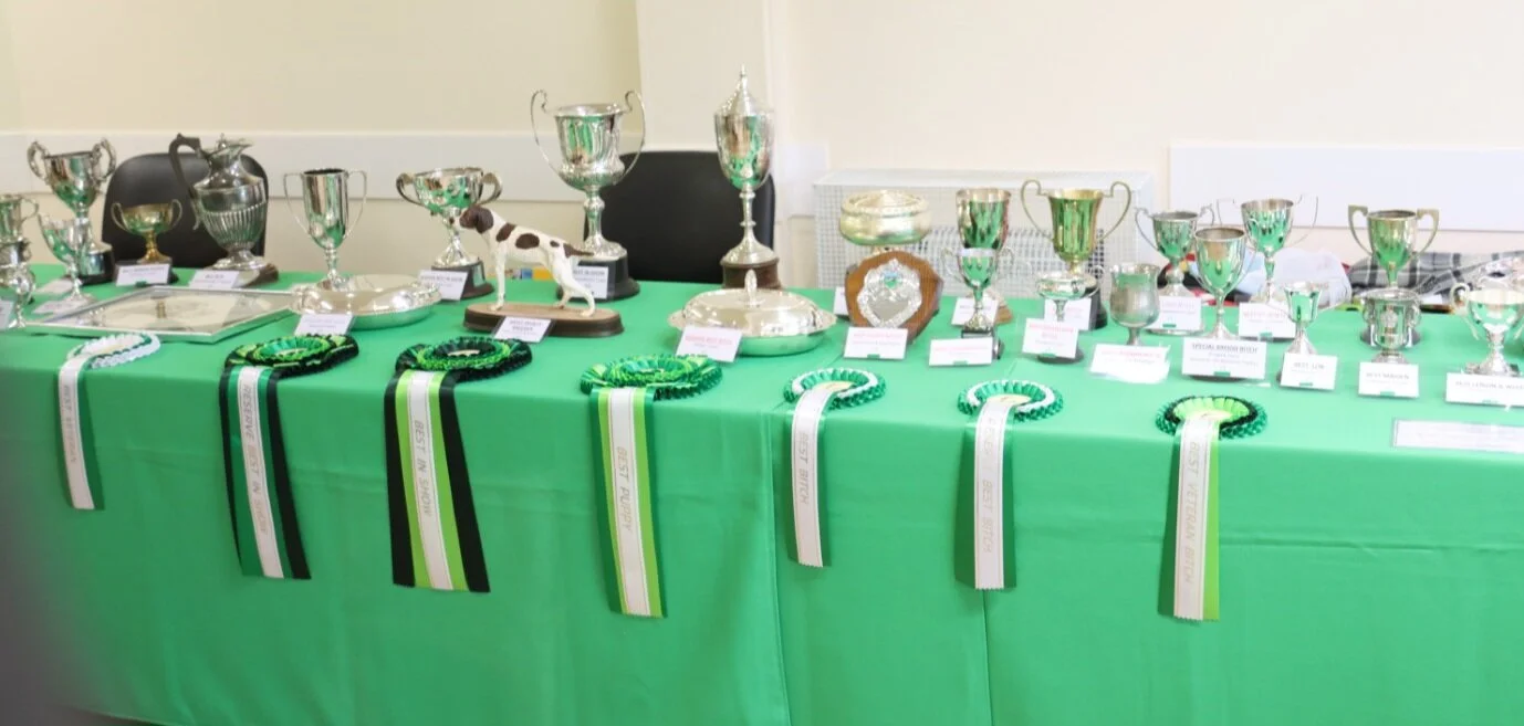 Show Dates — Southern Pointer Club