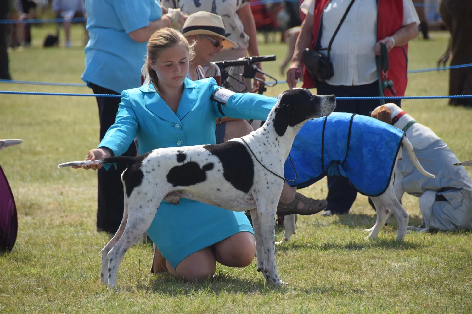 Gallery — Southern Pointer Club