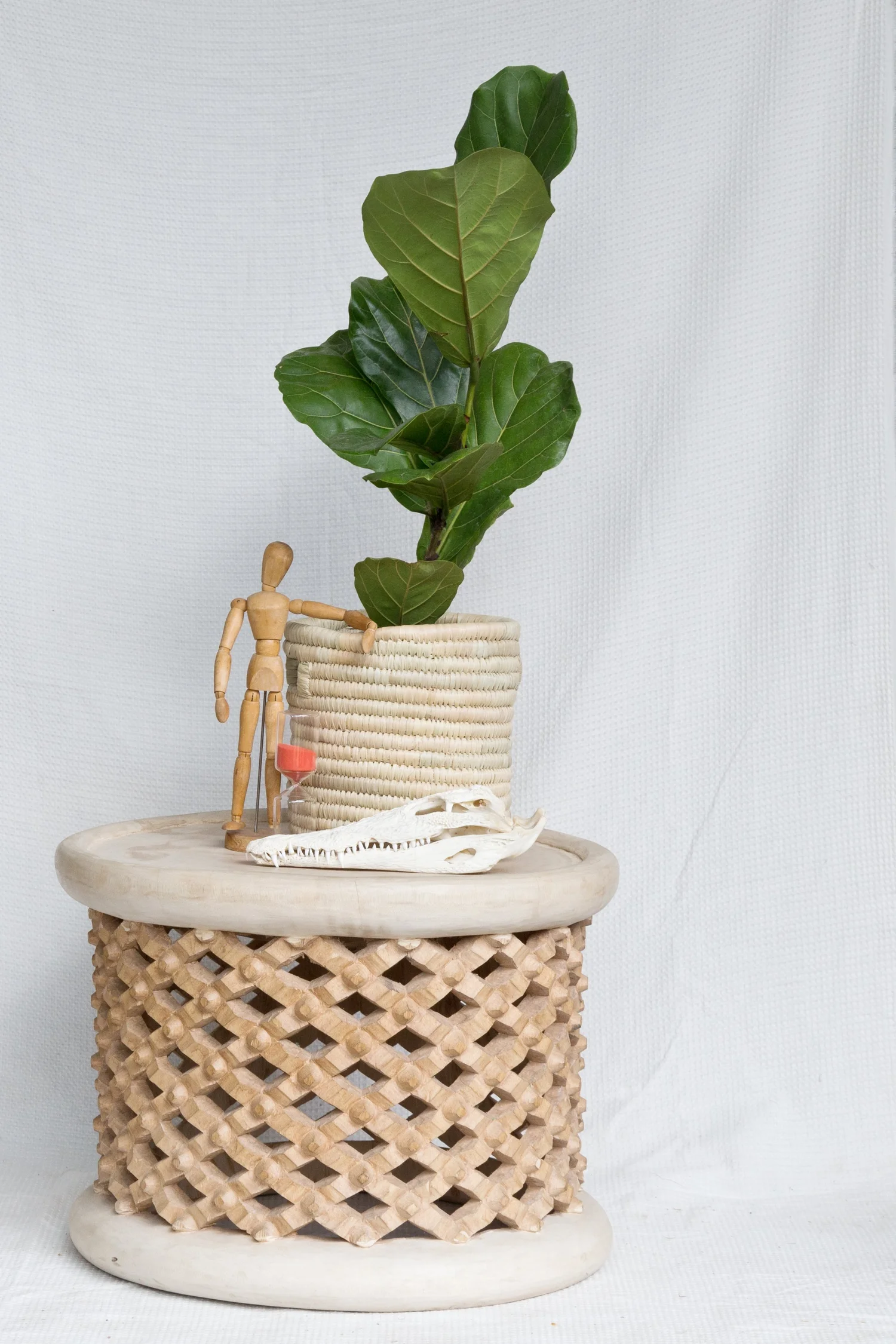 Collection — The Trov