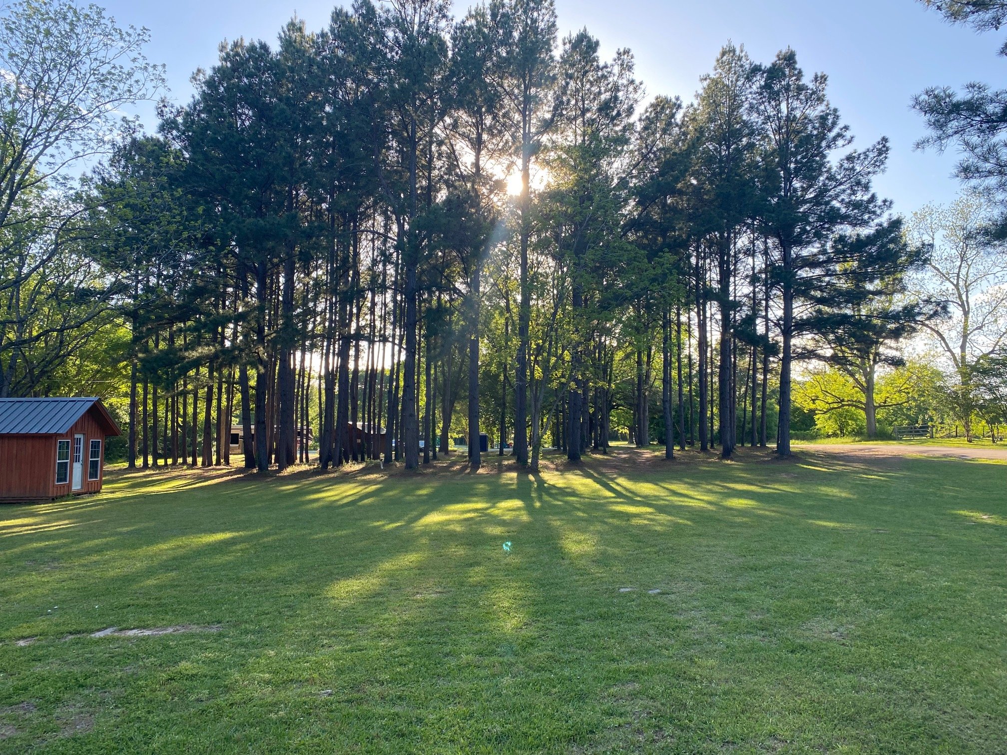 Nestled Pines | Boutique RV Park in East Texas