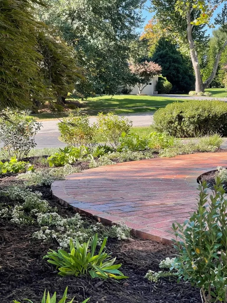 Native Roots Conservation Landscaping