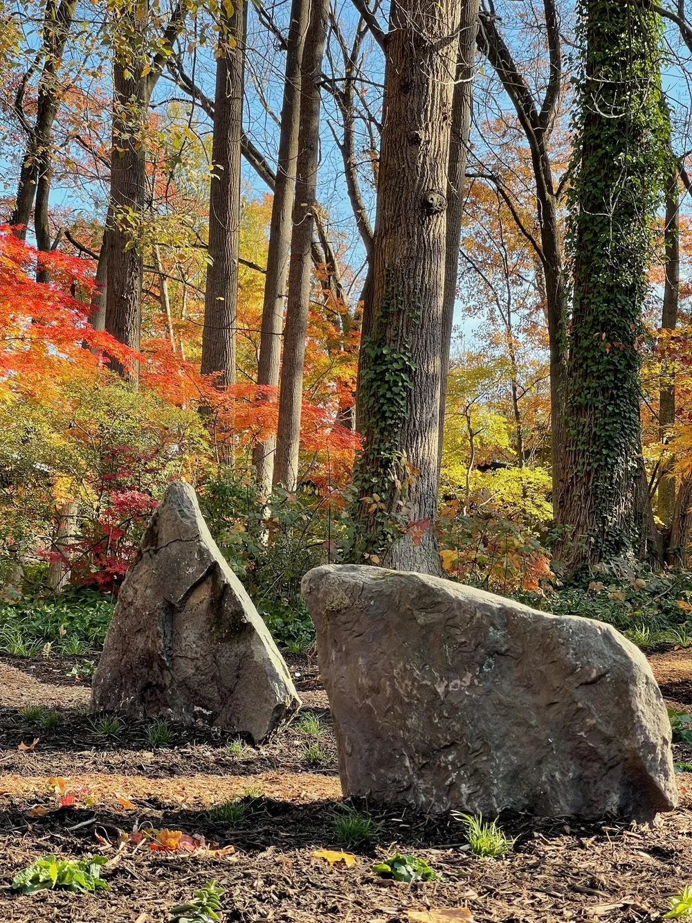 Native Roots Conservation Landscaping