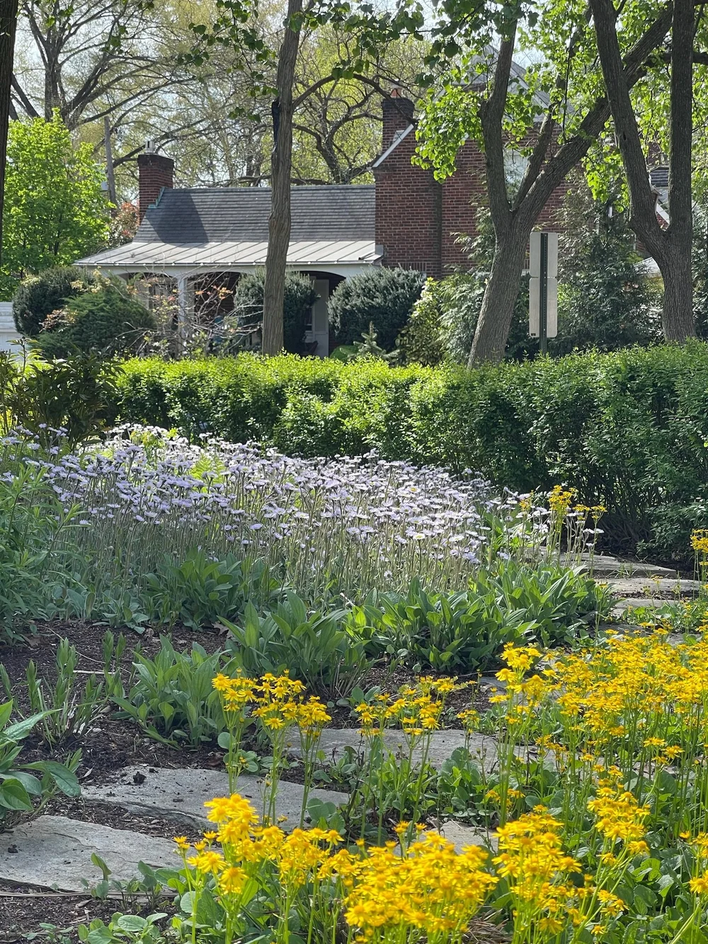 Native Roots Conservation Landscaping