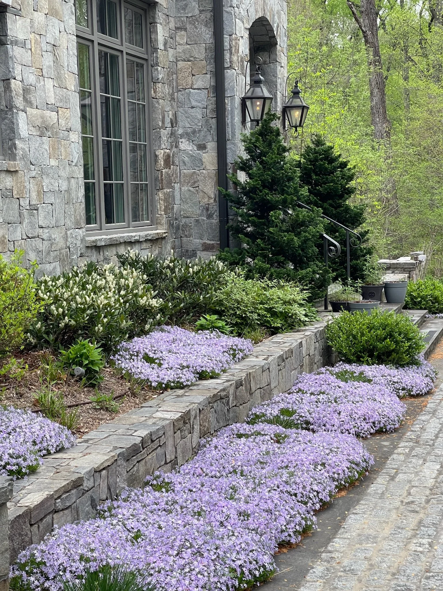 Native Roots Conservation Landscaping