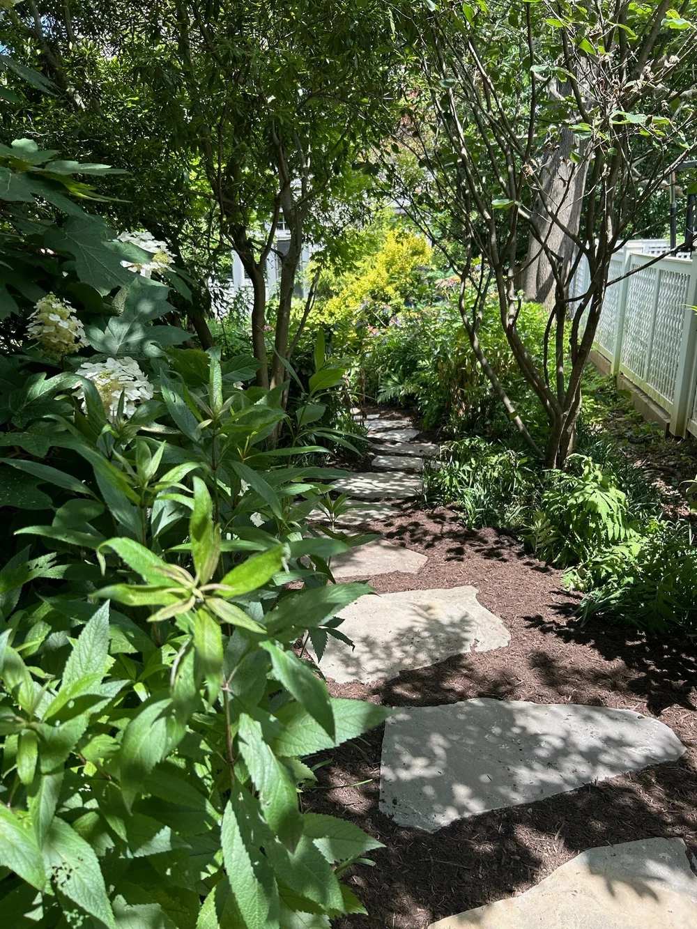 Native Roots Conservation Landscaping