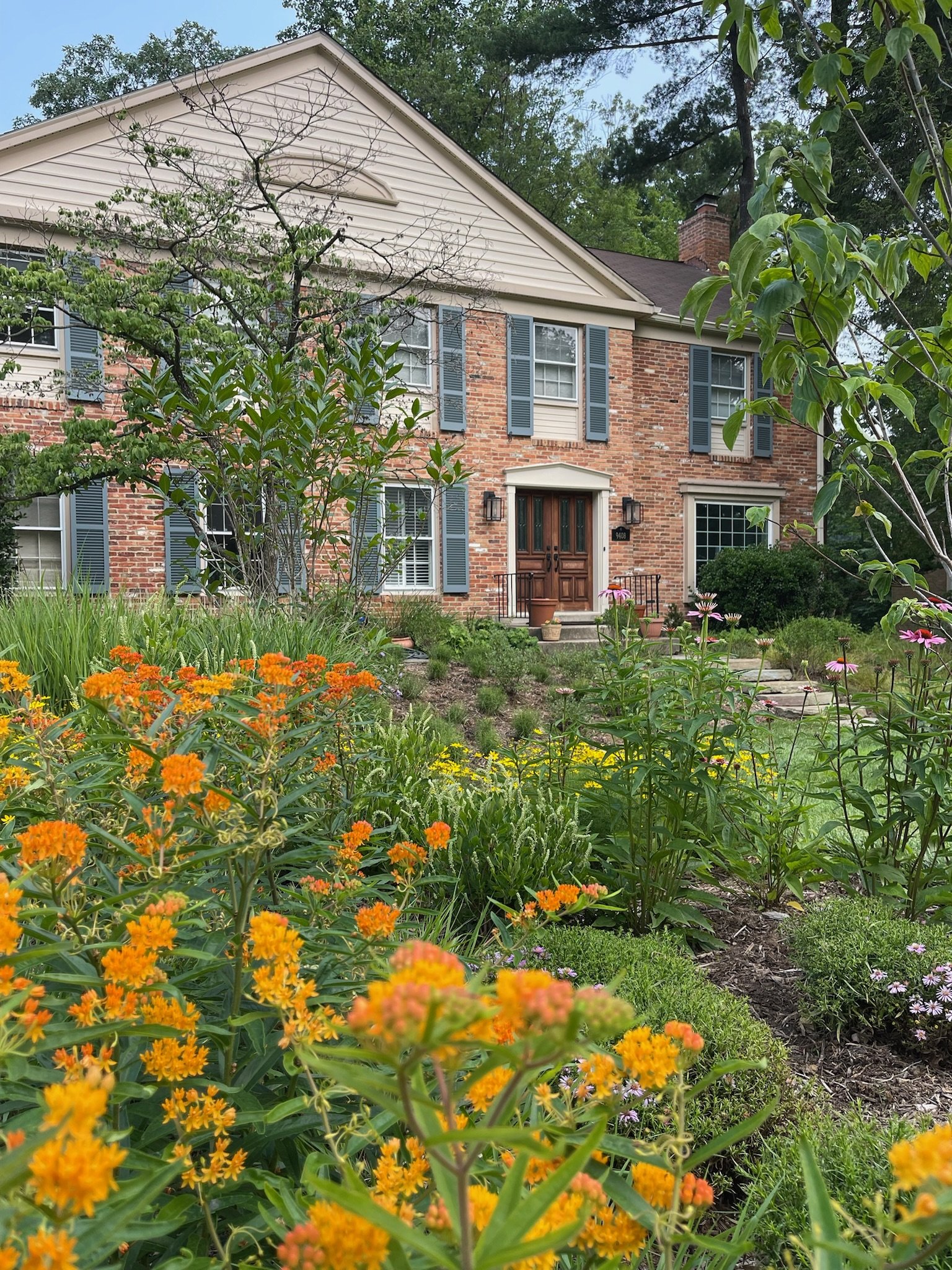 Native Roots Conservation Landscaping
