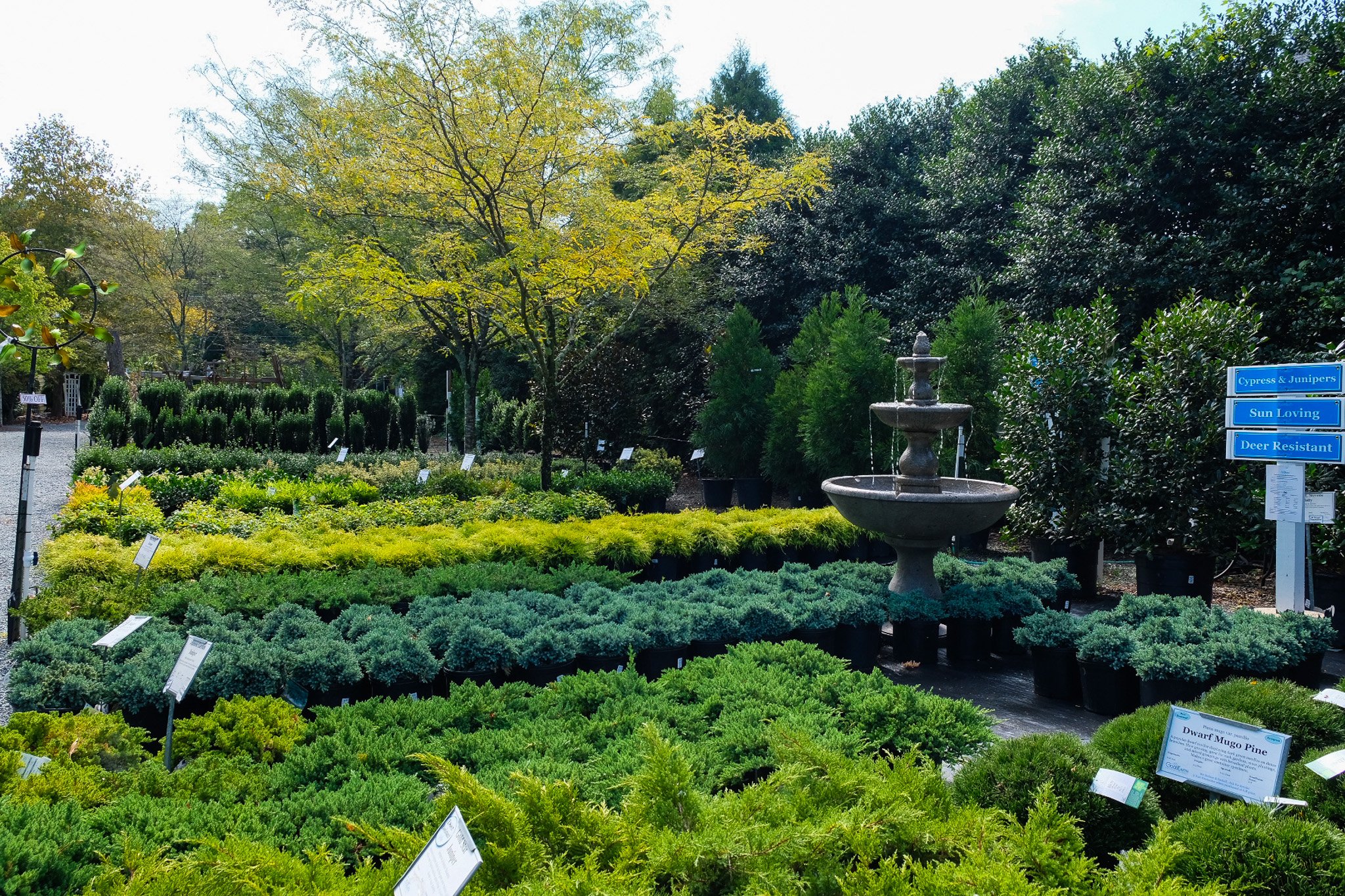 Good Earth Garden Market