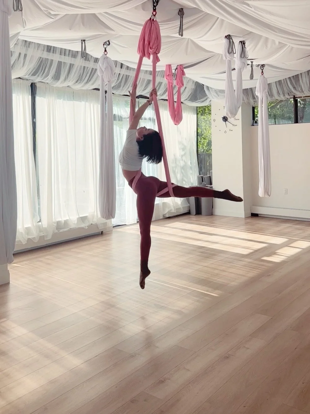 Home — Aura Aerial Art Centre || Toronto Aerial Hammock and Aerial Yoga ...