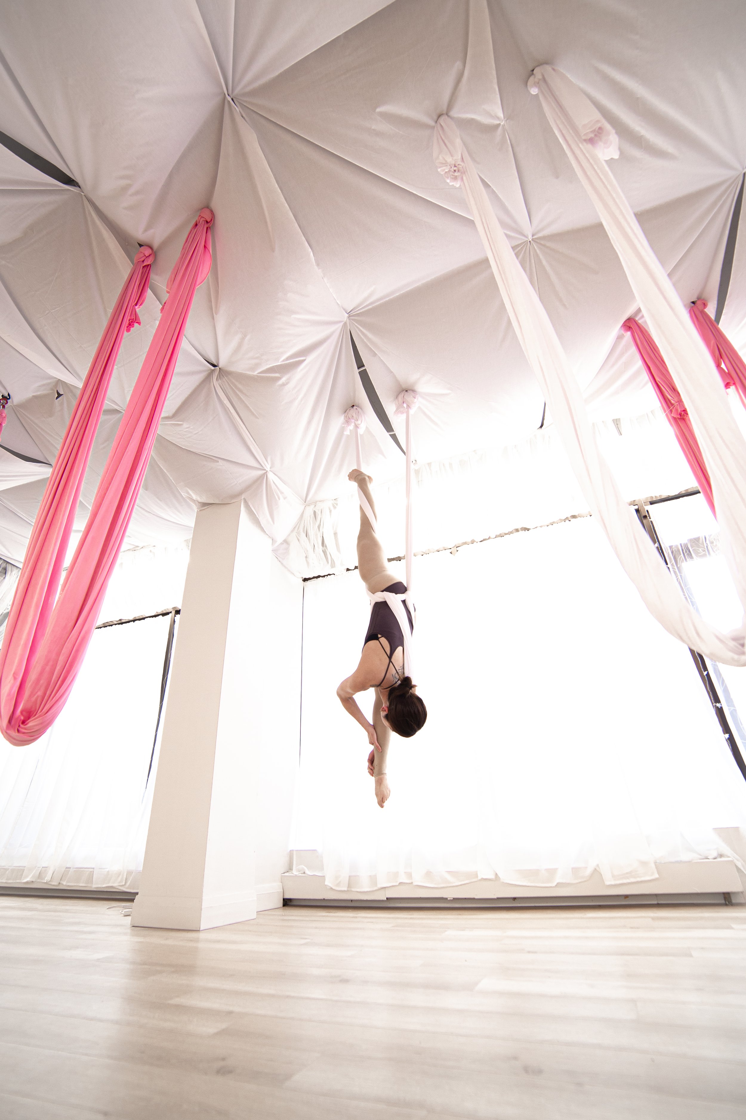 Home — Aura Aerial Art Centre || Toronto Aerial Hammock and Aerial Yoga ...