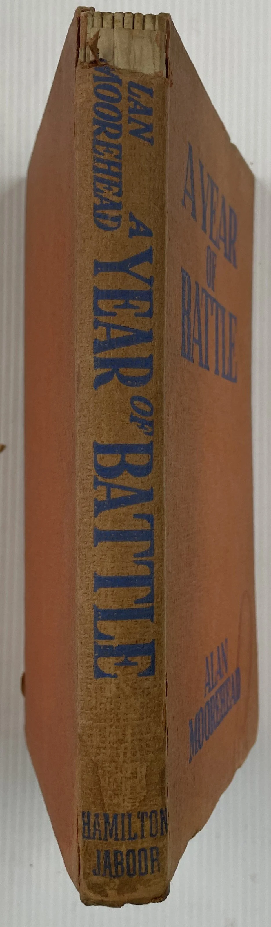 A Year of Battle — Knife Proud Cats