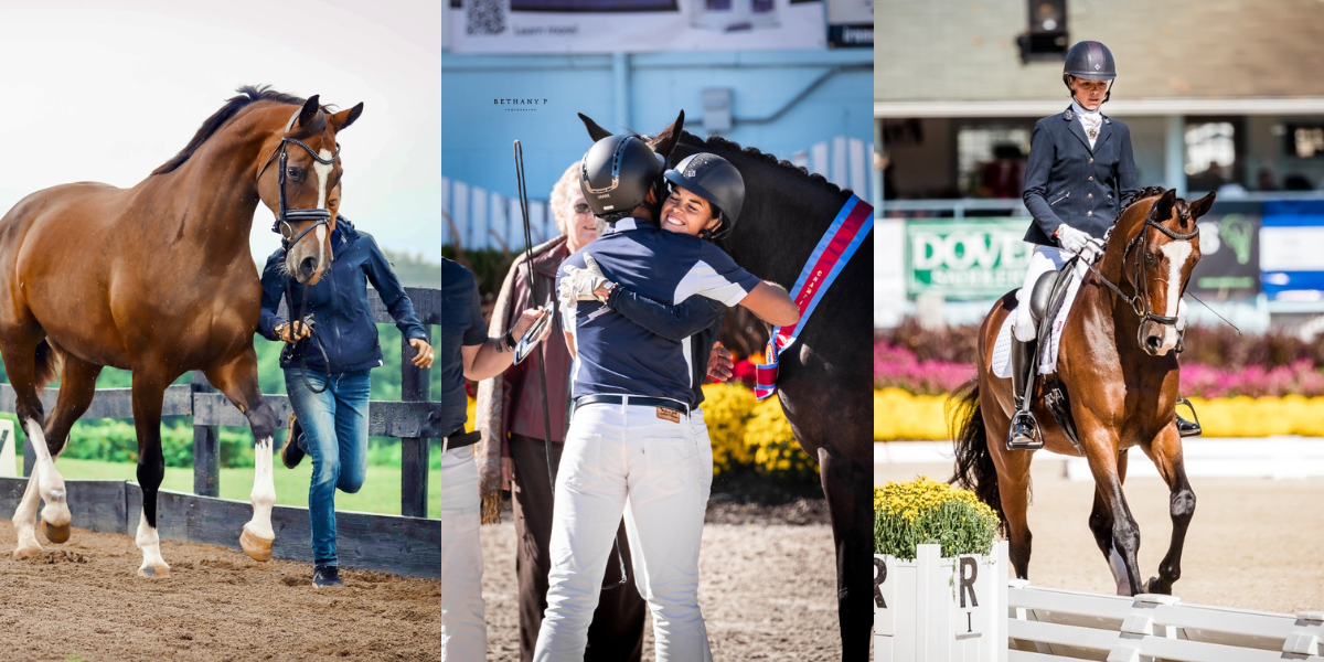 Heritage Equestrian International