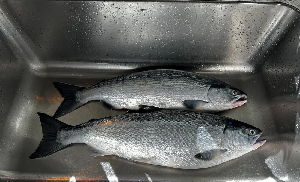 Shop — Wild Kodiak Seafoods