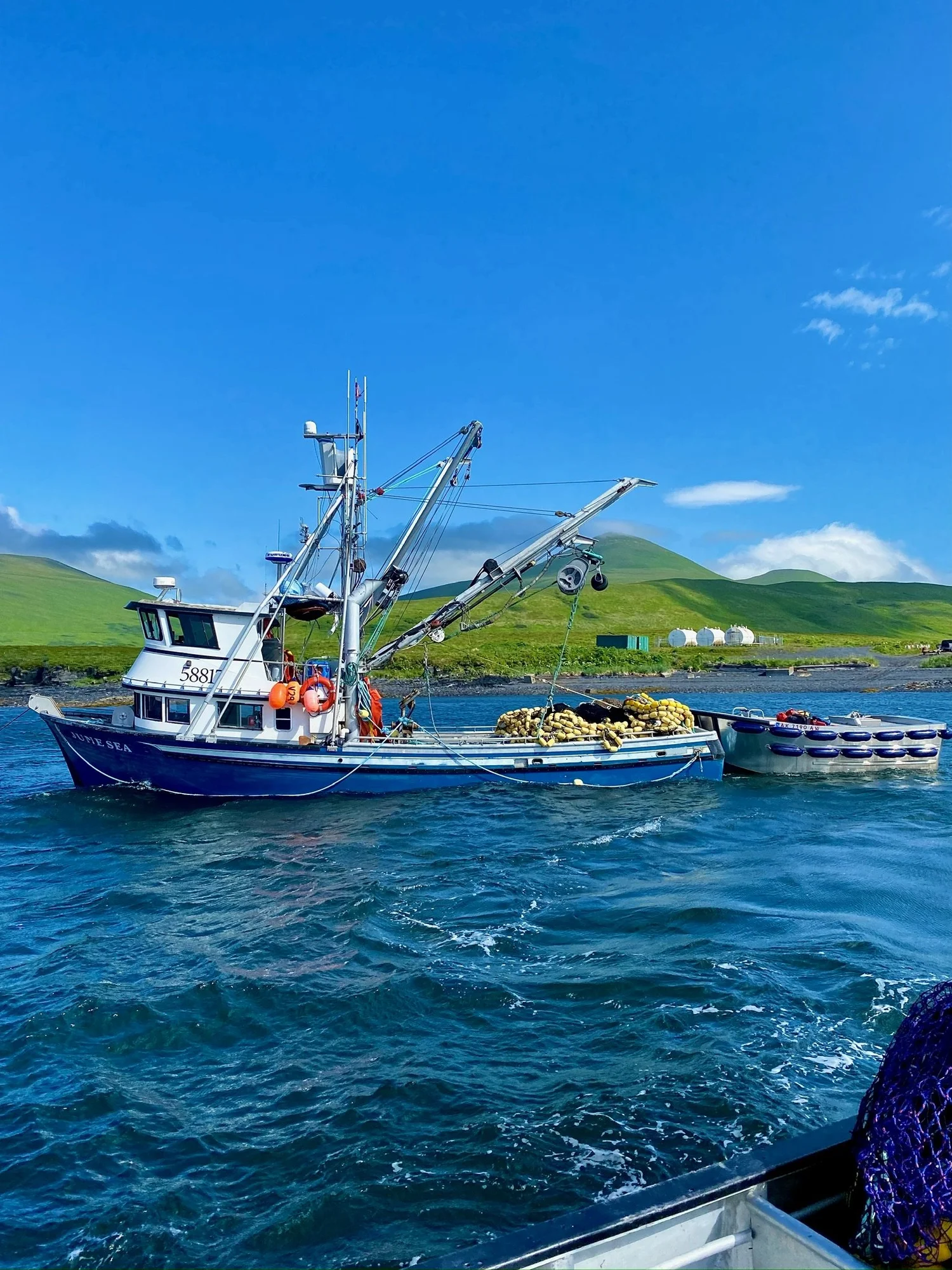 Gallery — Wild Kodiak Seafoods