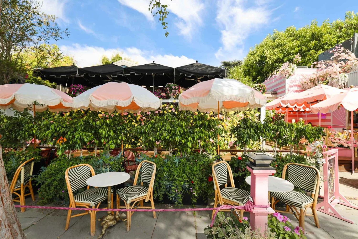 Brunch at Arden West Hollywood — Arden
