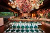 Arden | Experience Magic - Reserve Your Visit