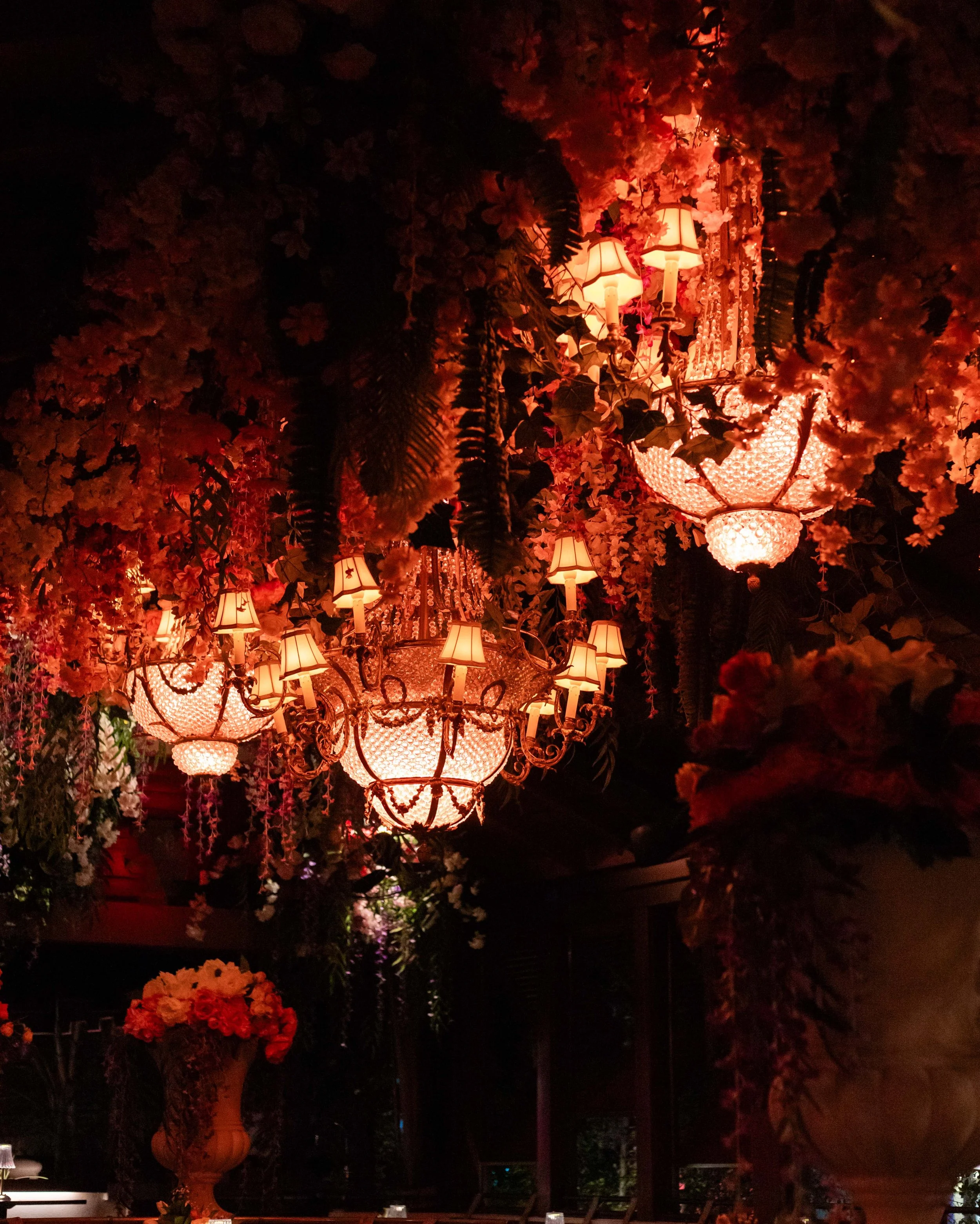 Arden | Experience Magic - Reserve Your Visit