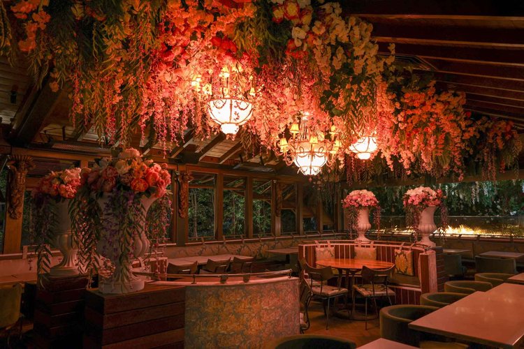 Arden | Experience Magic - Reserve Your Visit