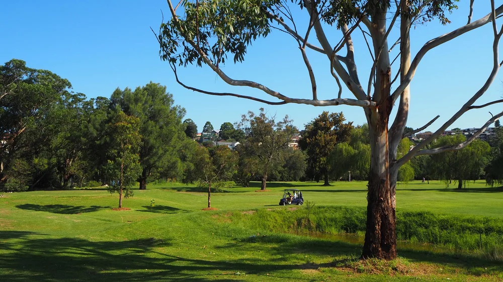 Golf Course Guide — Marrickville Golf, Sporting & Community Club