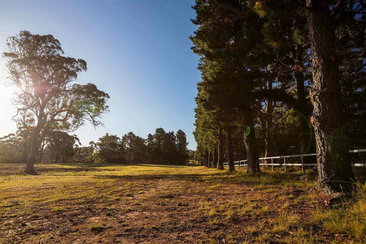 Southern Highlands Addiction Retreat | Addiction Treatment Center